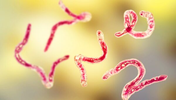 Understanding the Benefits of a Parasite Cleansing Kit for Your Health ...